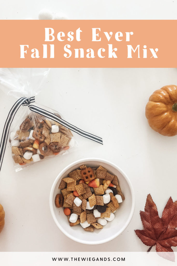 5 Minute Fall Snack Mix - Casey Wiegand of The Wiegands