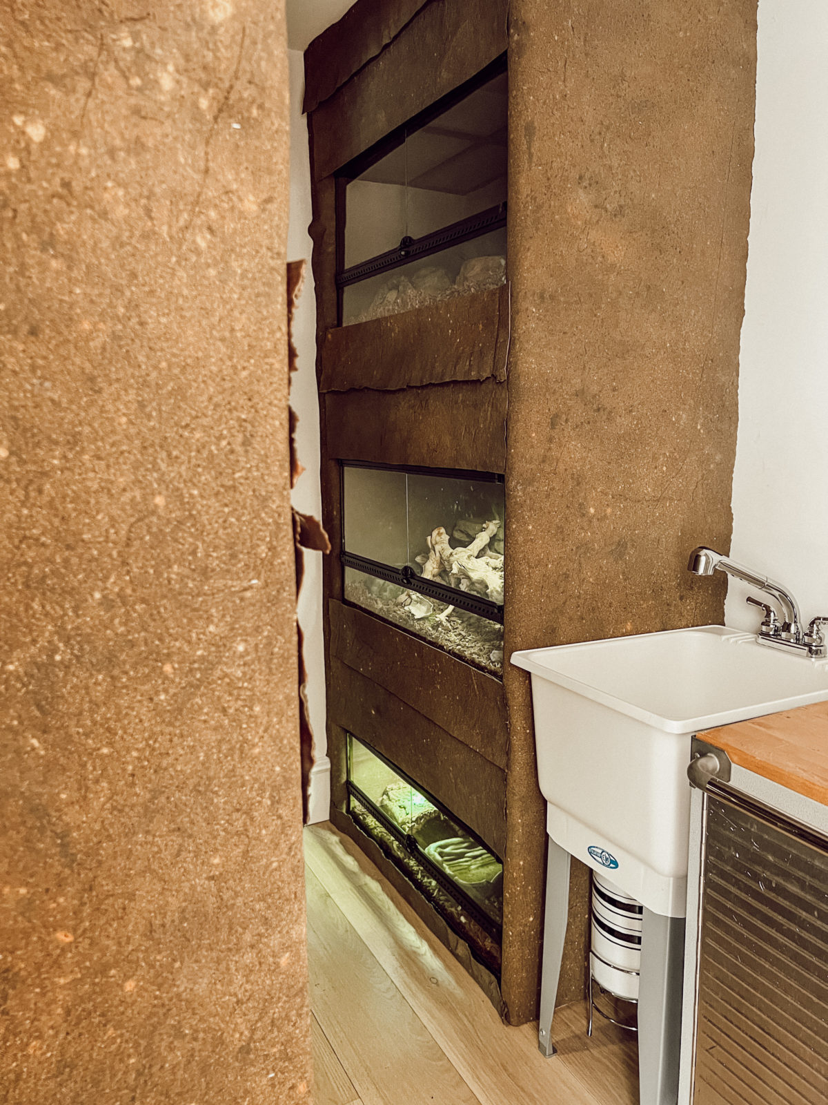 Updated Reptile Room Setup - Casey Wiegand of The Wiegands
