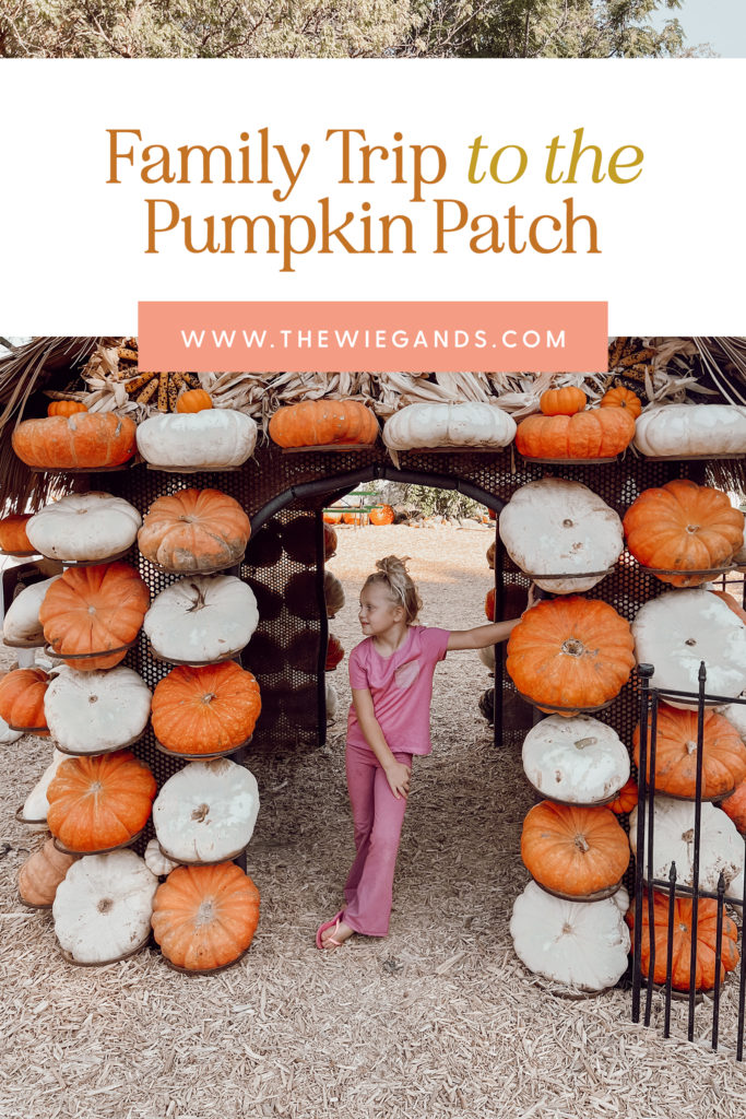 Pumpkin Patch Magic - Casey Wiegand of The Wiegands